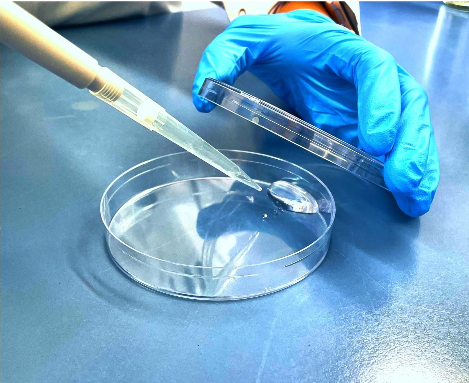 WATER TESTING - Old Castle Labs